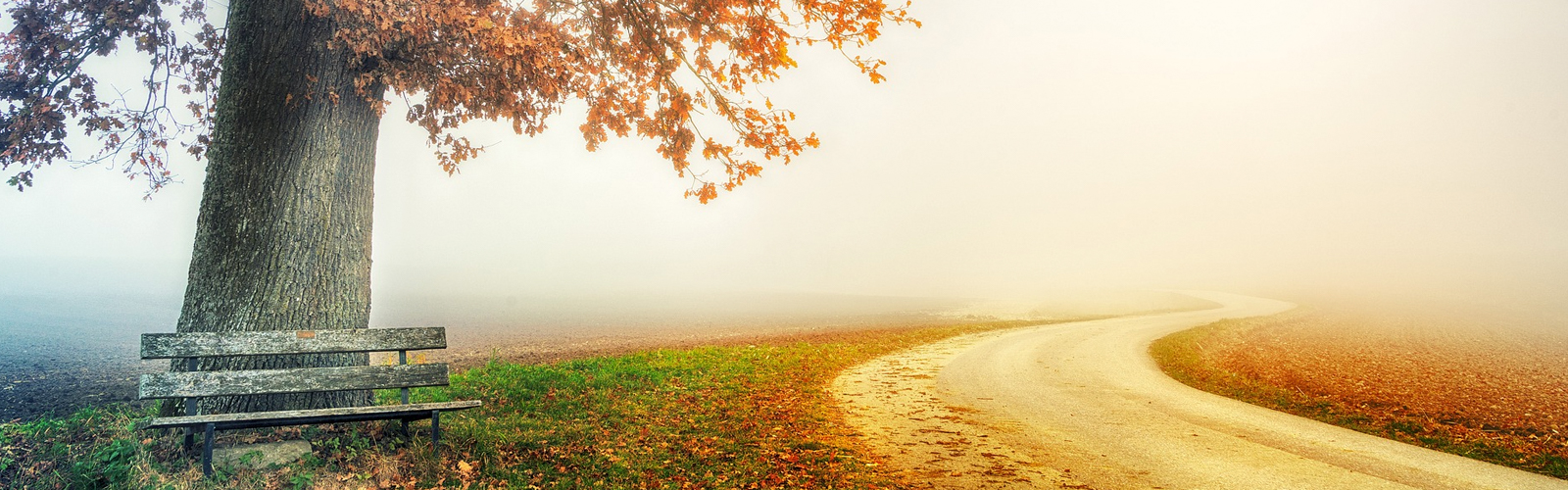 Rouw en Verlies - YourCoach